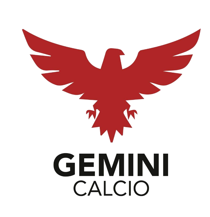 Gemini Calcio - WeSport